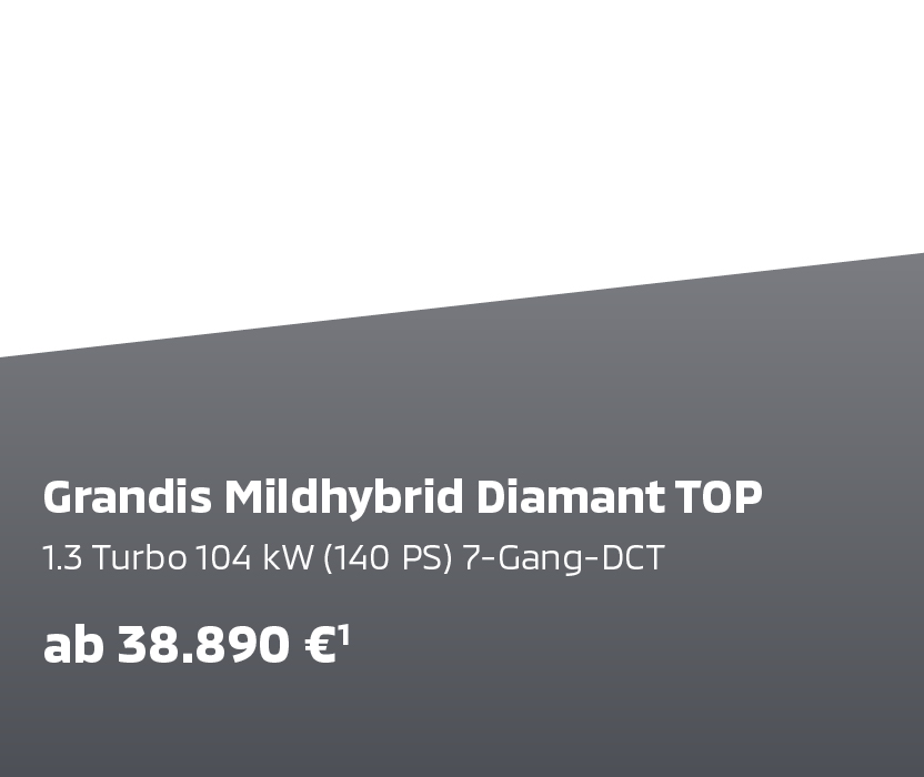 Der Mitsubishi Grandis – Varianten und Preise